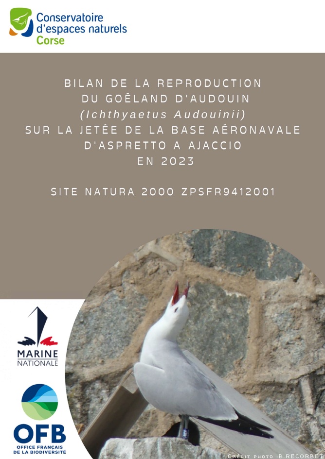 Bilan : Suivi 2023 de la reproduction du goéland d'audouin (ichthyaetus ...